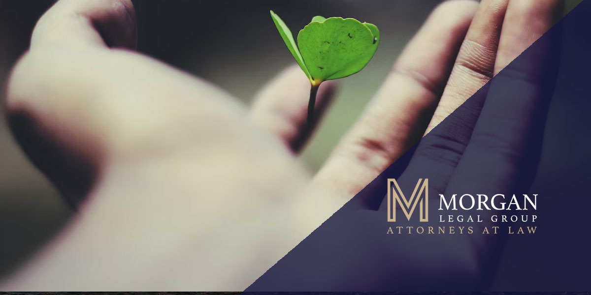 Complete Guide to Estate Planning: The Role of Life Insurance | Morgan ...